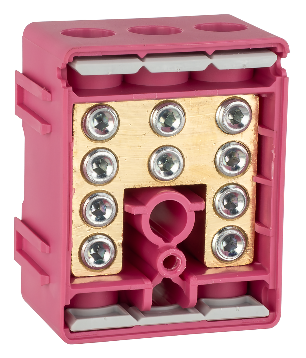 Lewden 100A 5-Way Single Pole Distribution Terminal Block, Pink - DT10 ...