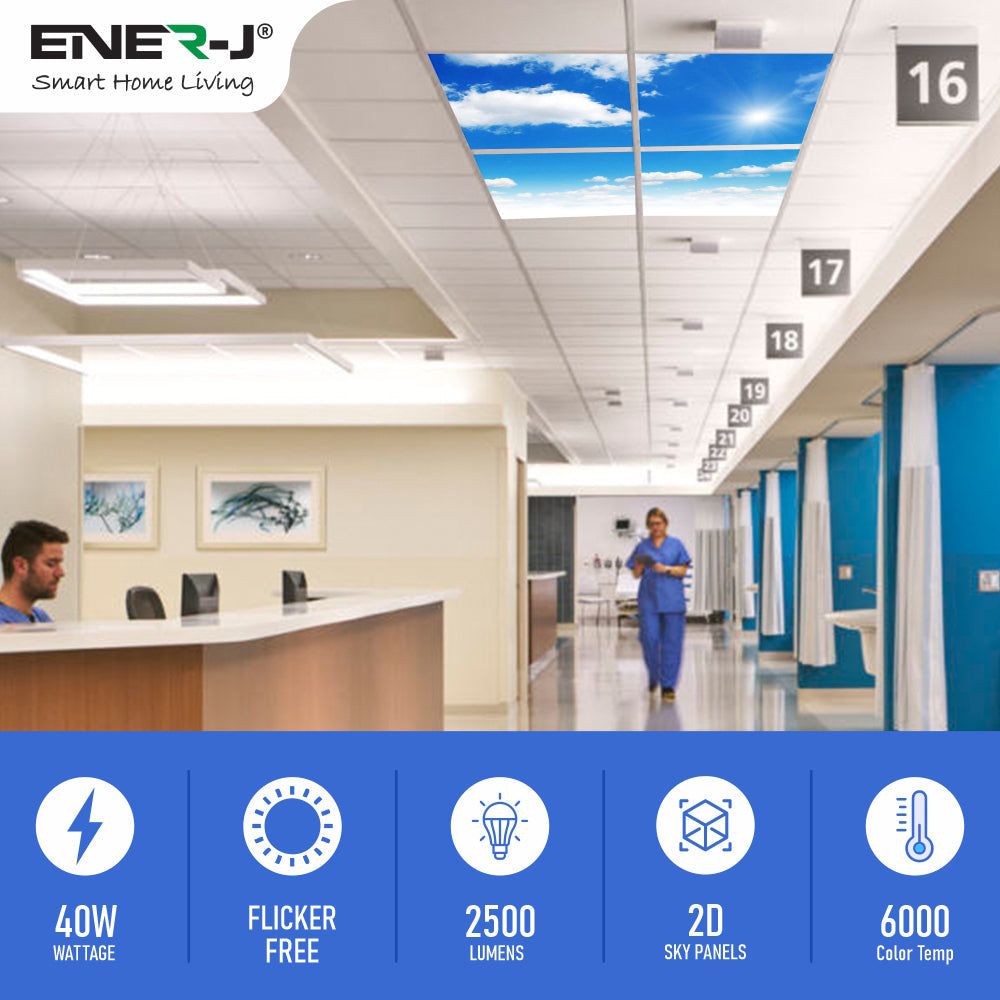 ENERJ Sky Cloud 600x600mm 2D LED Panel - Pack of 4 - E801 ...
