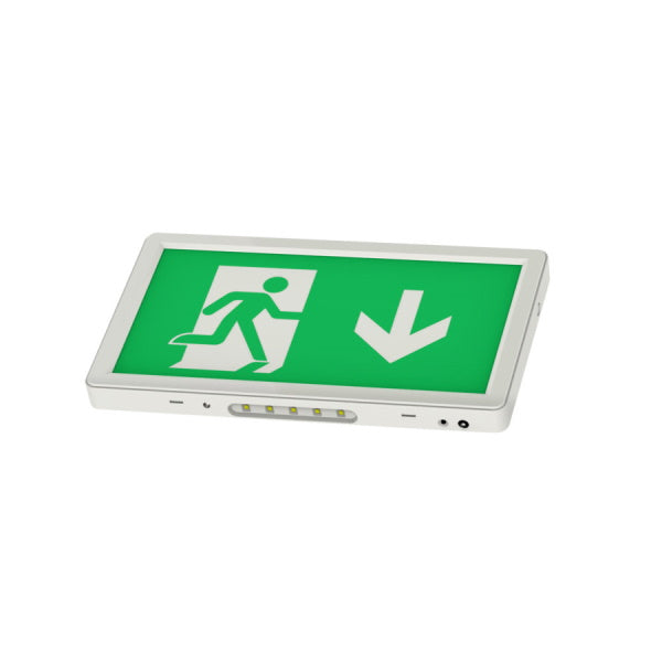 Channel Smarter Safety Alpine Slimline Emergency Exit Box Sign - E-AL ...